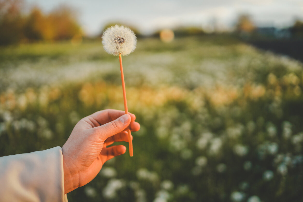 Suicide Attempt Survivor (SOSA) Support Group | Samaritans